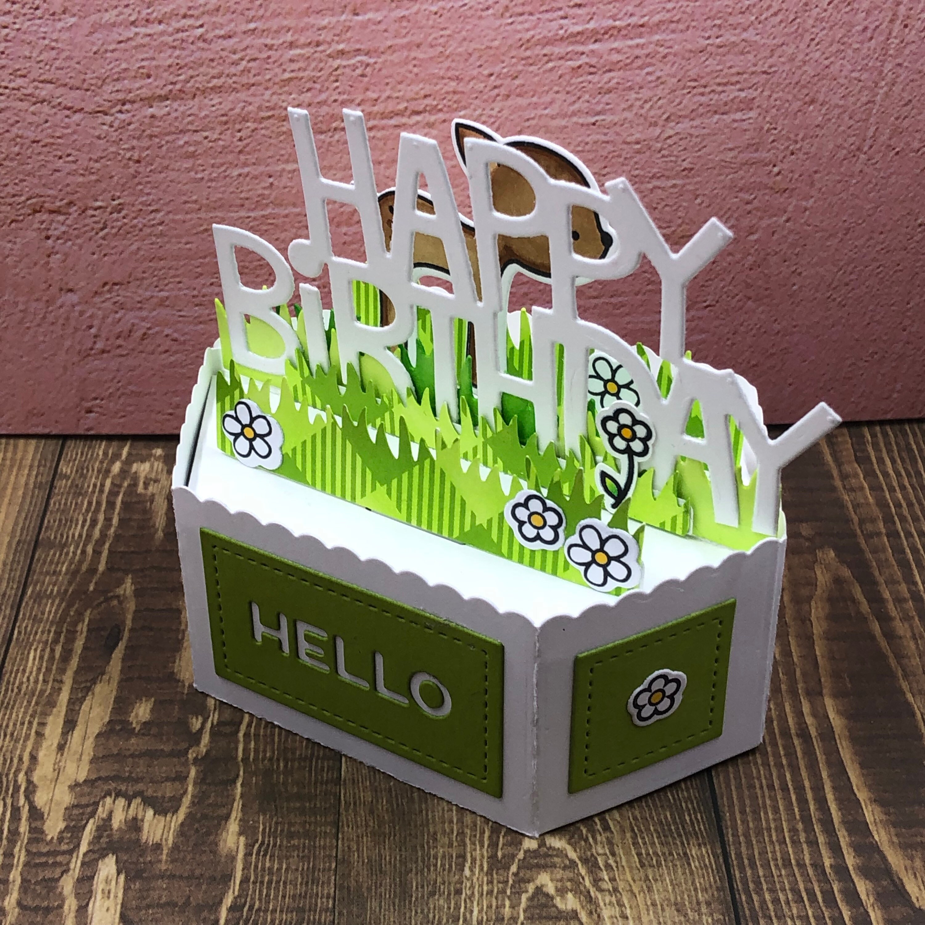 Pop up Display Card | Etsy