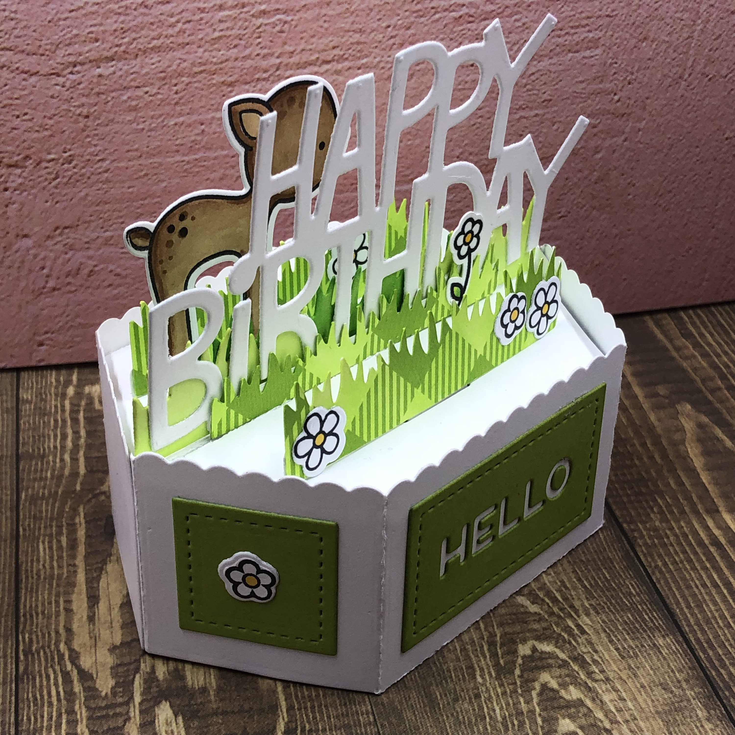Pop up Display Card - Etsy