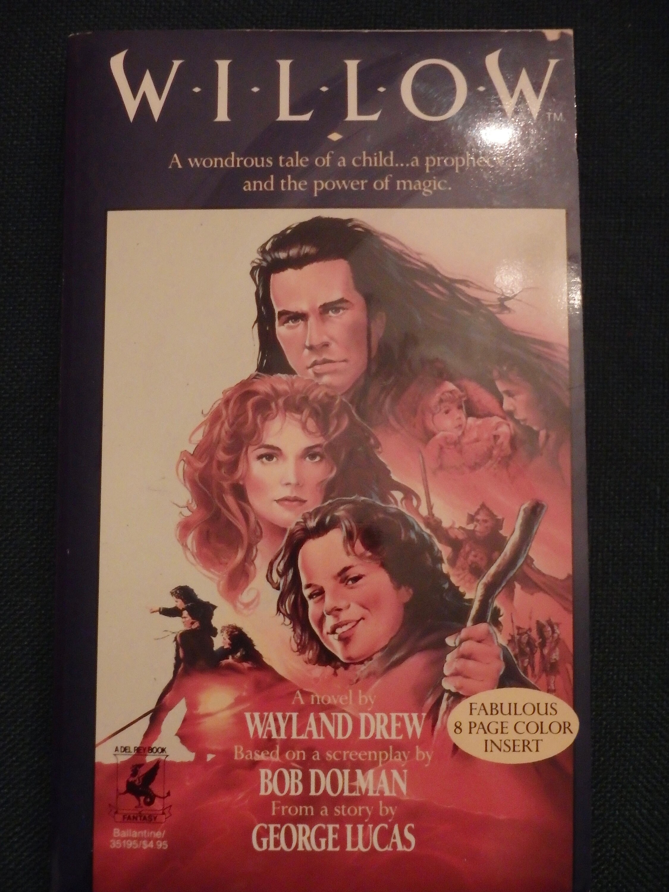 Vintage Novel, 1988 willow Book by Wayland Drew, Screenplay by Bob ...