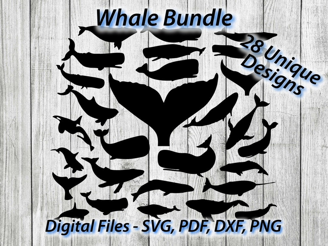 Whale Graphics Bundle 28 Unique Designs Lot Whales- Svg File - SVG ...