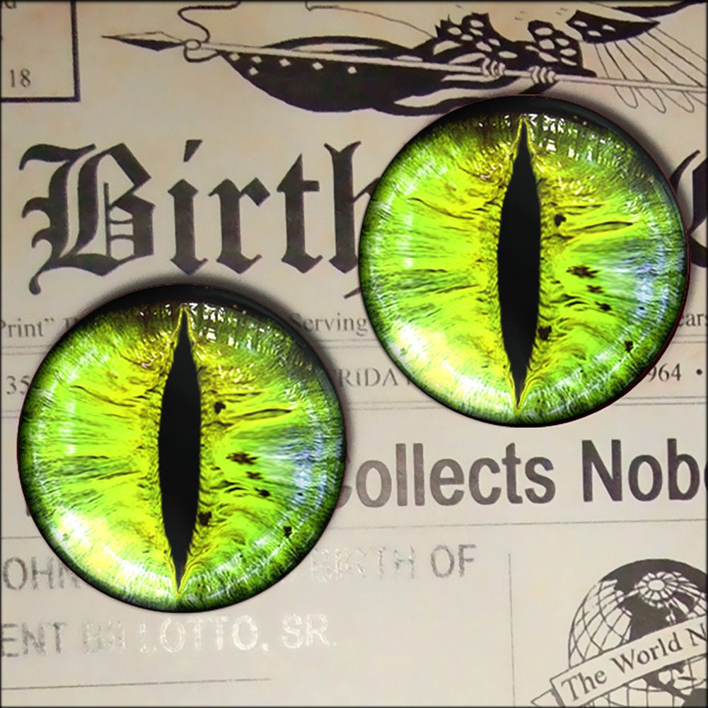 Green Lizard Eyes 18mm Glass Animal Taxidermy Eyeballs Fantasy Jewelry ...