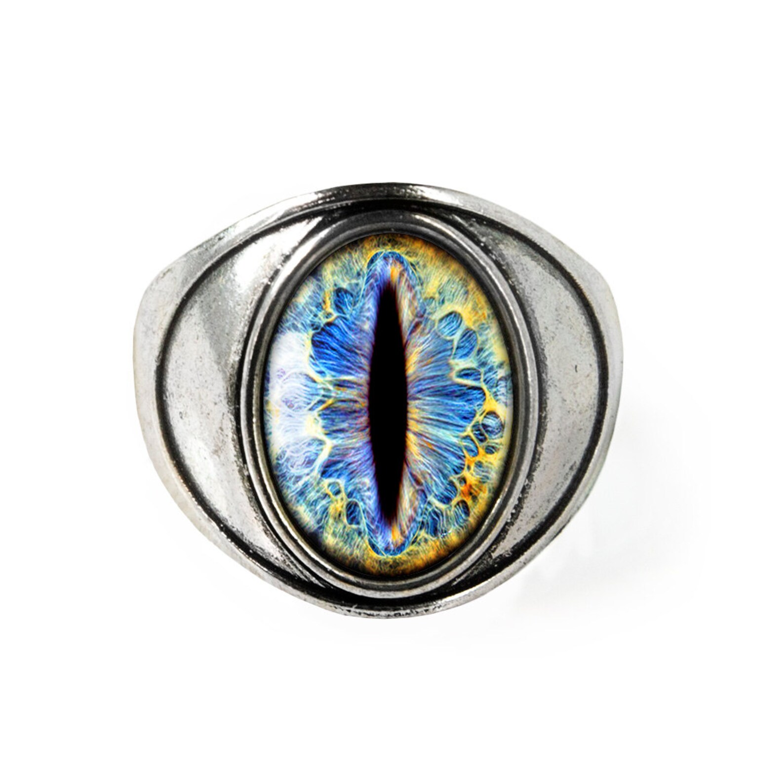 Beautiful Ice Blue Dragon Cat Eyeball Glass Fantasy Taxidermy Eye ...