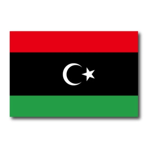 Libya Flag Car Magnet Decal 4 X 6 Heavy Duty for Car Truck | Etsy