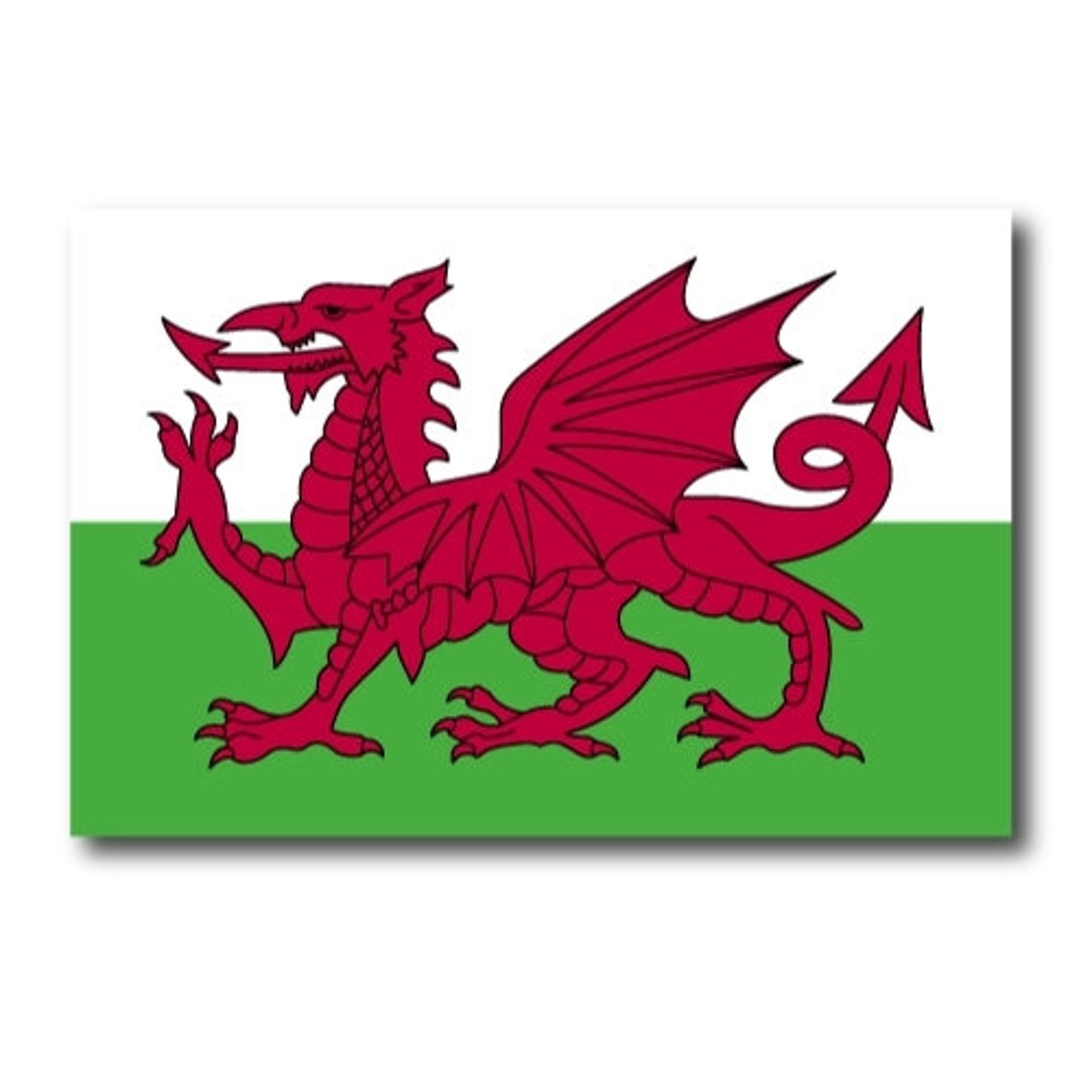 Wales Welsh Flag Car Magnet Decal 4 X 6 Heavy Duty for Car - Etsy