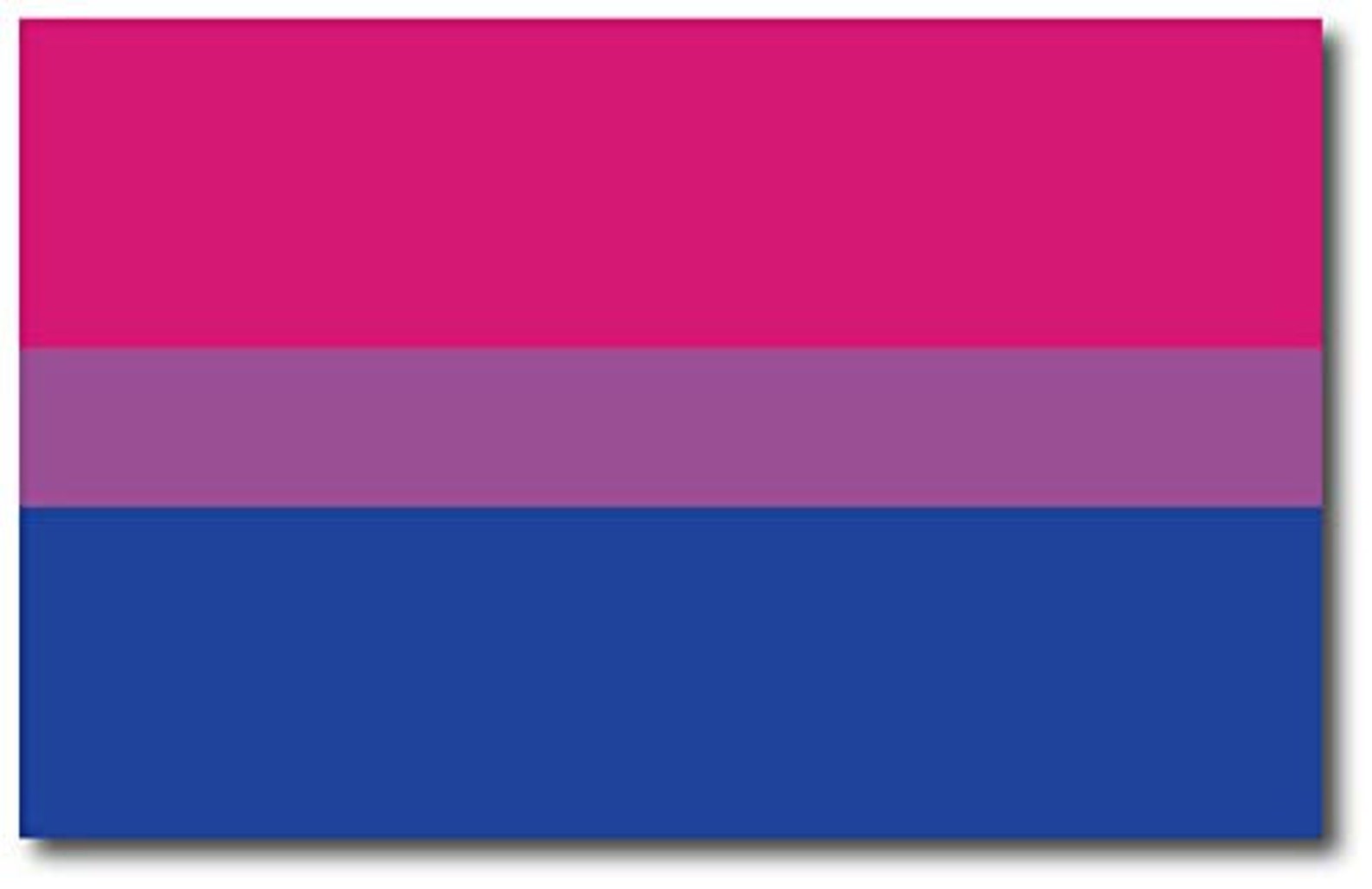 Magnet Me up Bisexual Pride Flag Car Magnet, 5x8 Inches, Pink Blue and ...