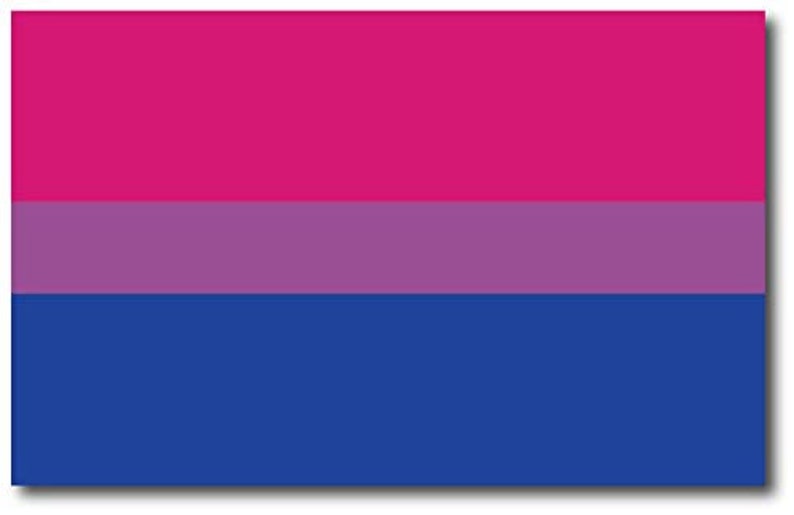 Magnet Me up Bisexual Pride Flag Car Magnet, 5x8 Inches, Pink Blue and Purple, Heavy Duty Magnet ...