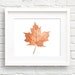 Maple Leaf Art Print Wall Decor Watercolor Painting - Etsy