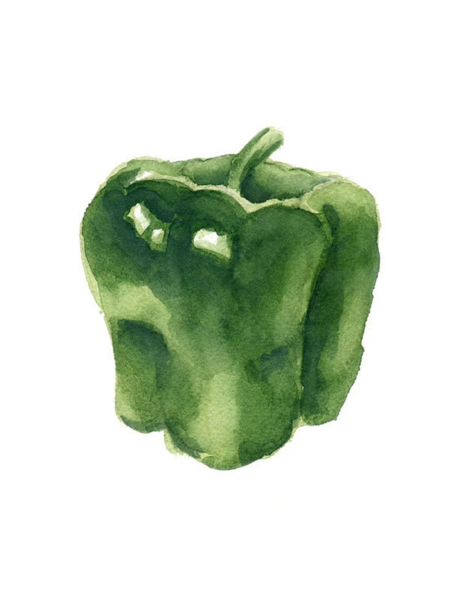 Bell Pepper Art Print Kitchen Art Wall Decor - Etsy