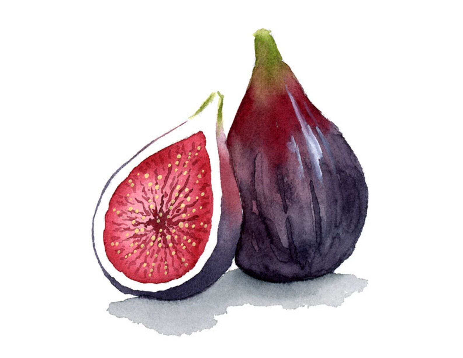 Fig Art Print Kitchen Art Wall Decor Watercolor - Etsy