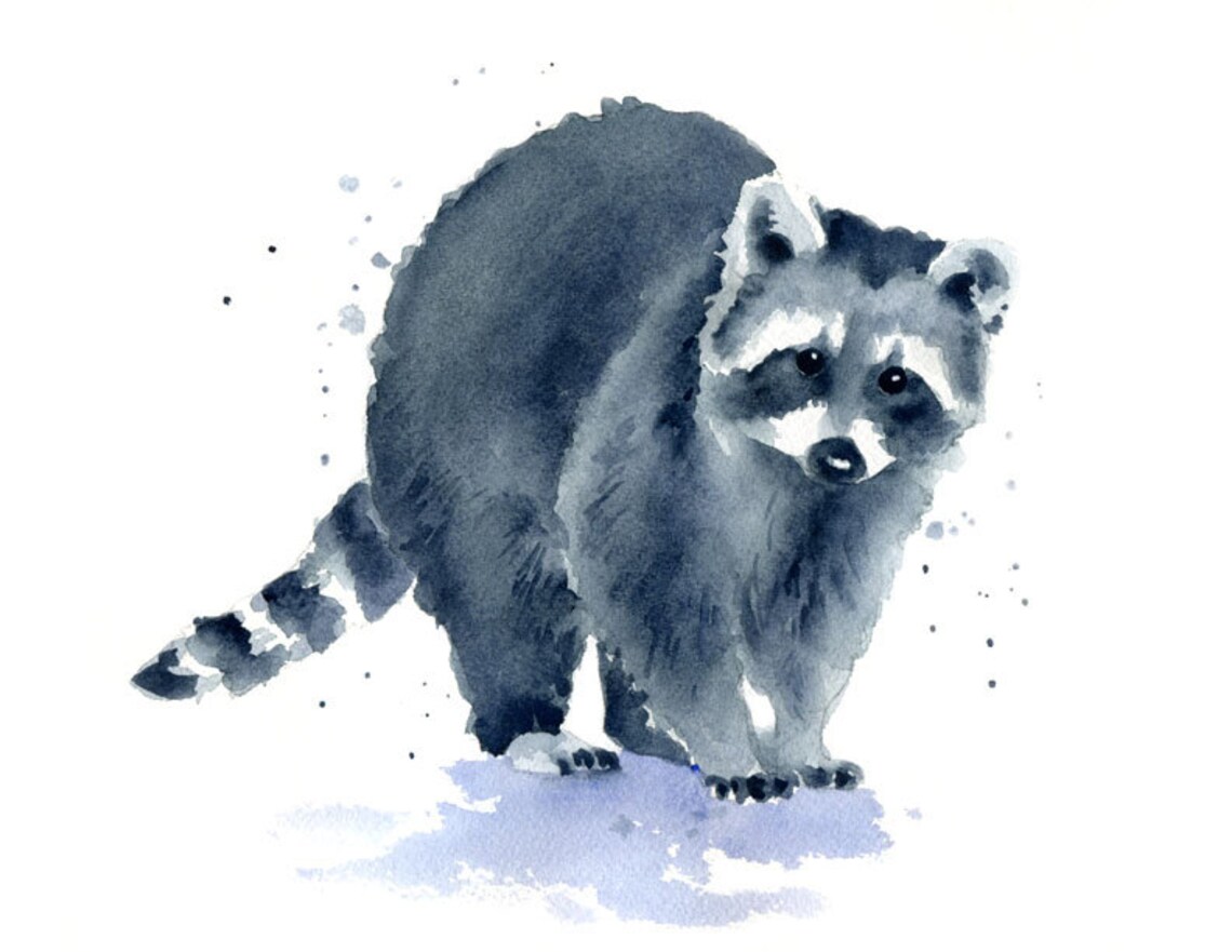 Raccoon Art Print Wall Decor Nursery Art Watercolor - Etsy