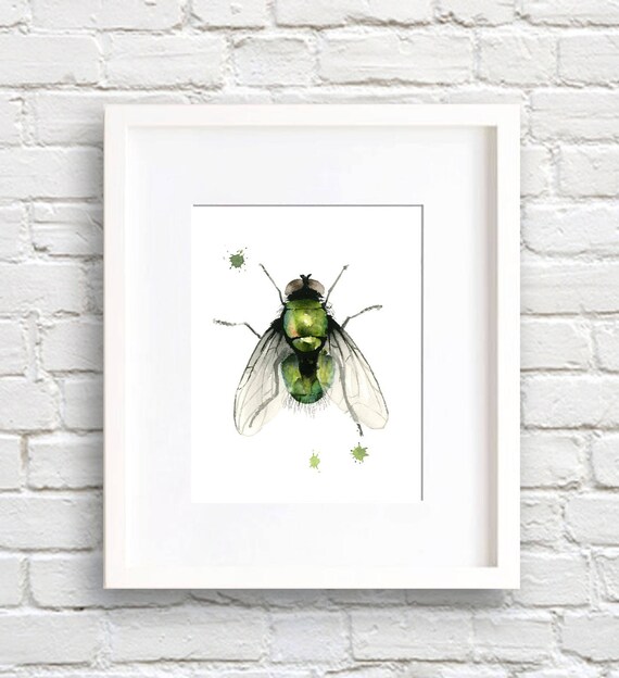 House Fly Art Print Wall Decor Watercolor Painting - Etsy