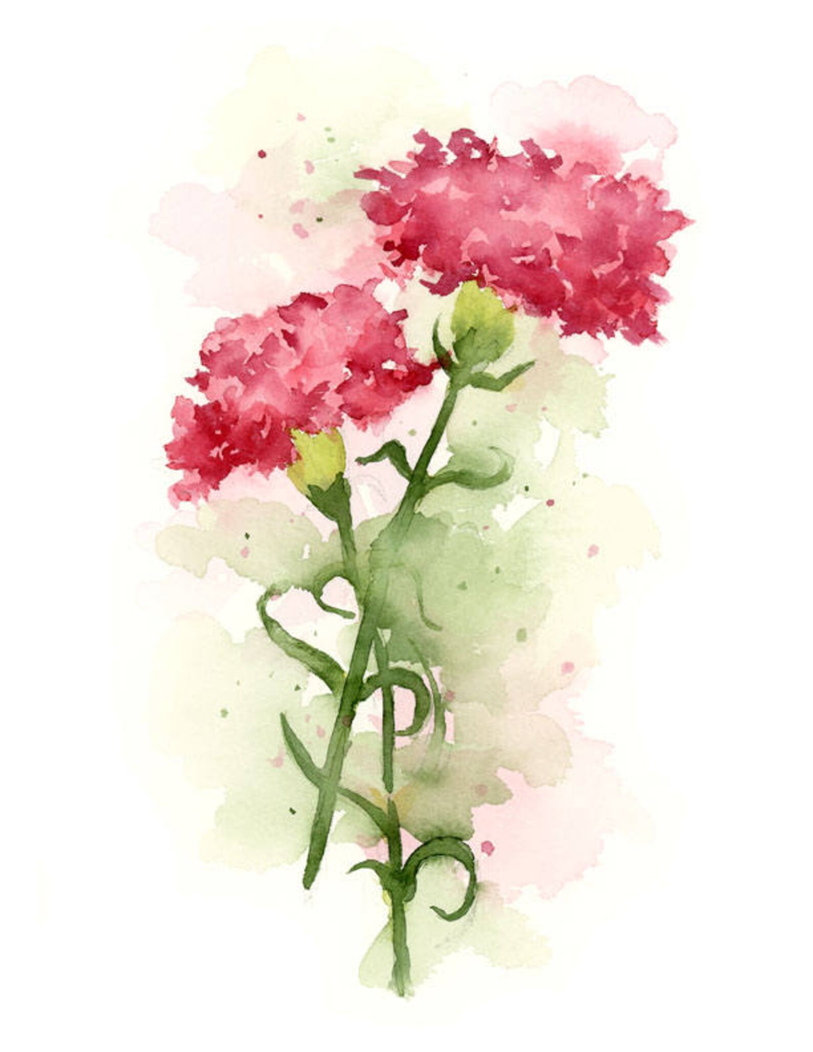 Carnation Flower Pink Carnations Art Print Flower Wall - Etsy Carnation Flower Pink Carnations Art Print Flower Wall - Etsy