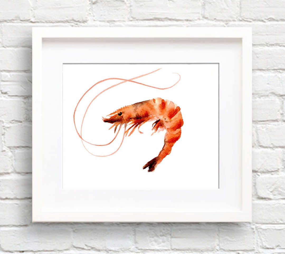 Shrimp Art Print - Kitchen Art - Wall Decor - Watercolor Painting - Etsy