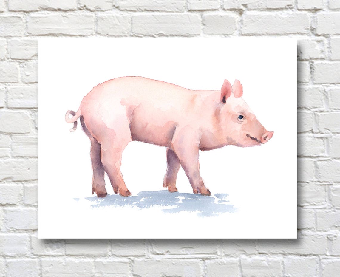 Pig Art Print Nursery Farm Animal Art Wall Decor | Etsy