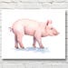 Pig Art Print Nursery Farm Animal Art Wall Decor - Etsy