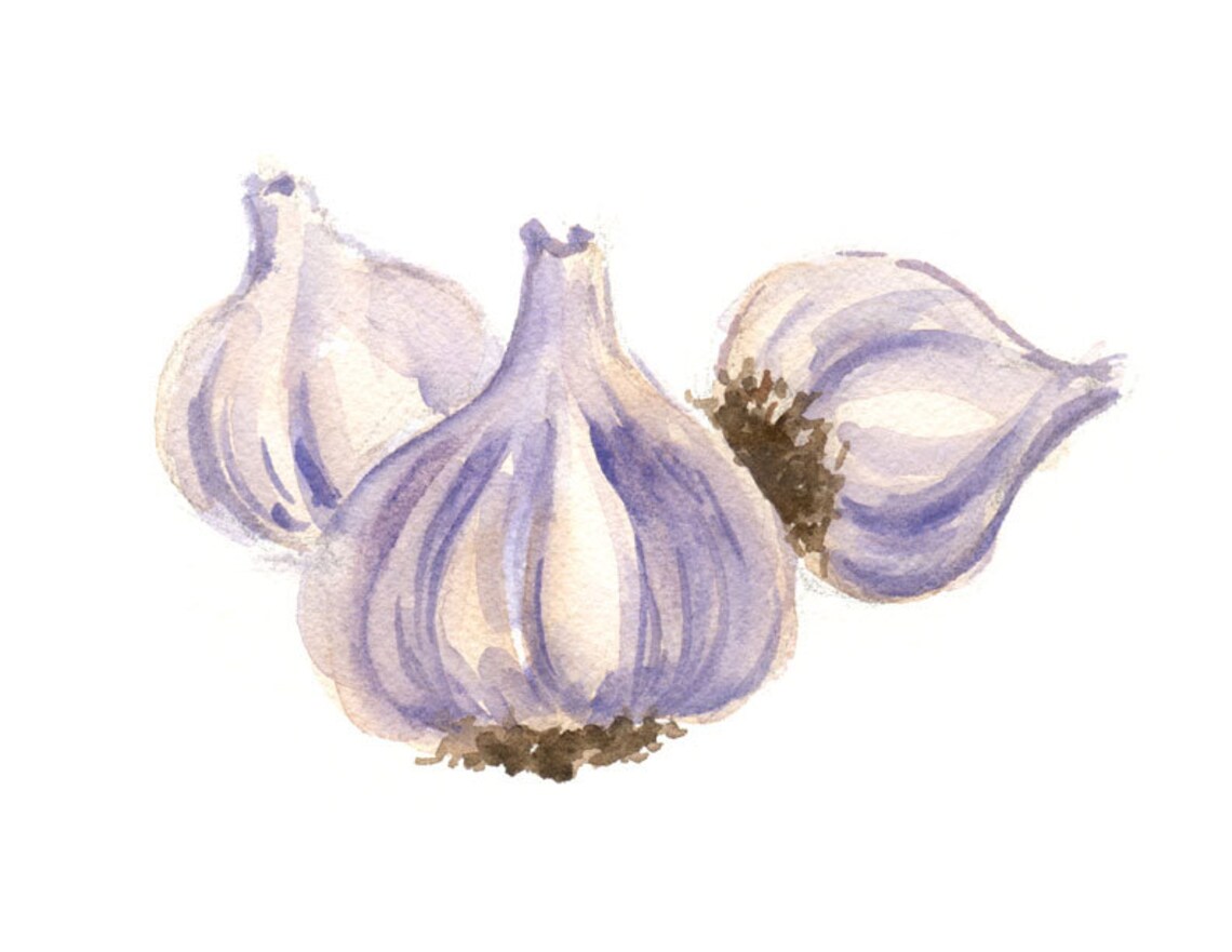 Garlic Art Print Kitchen Art Wall Decor Watercolor - Etsy