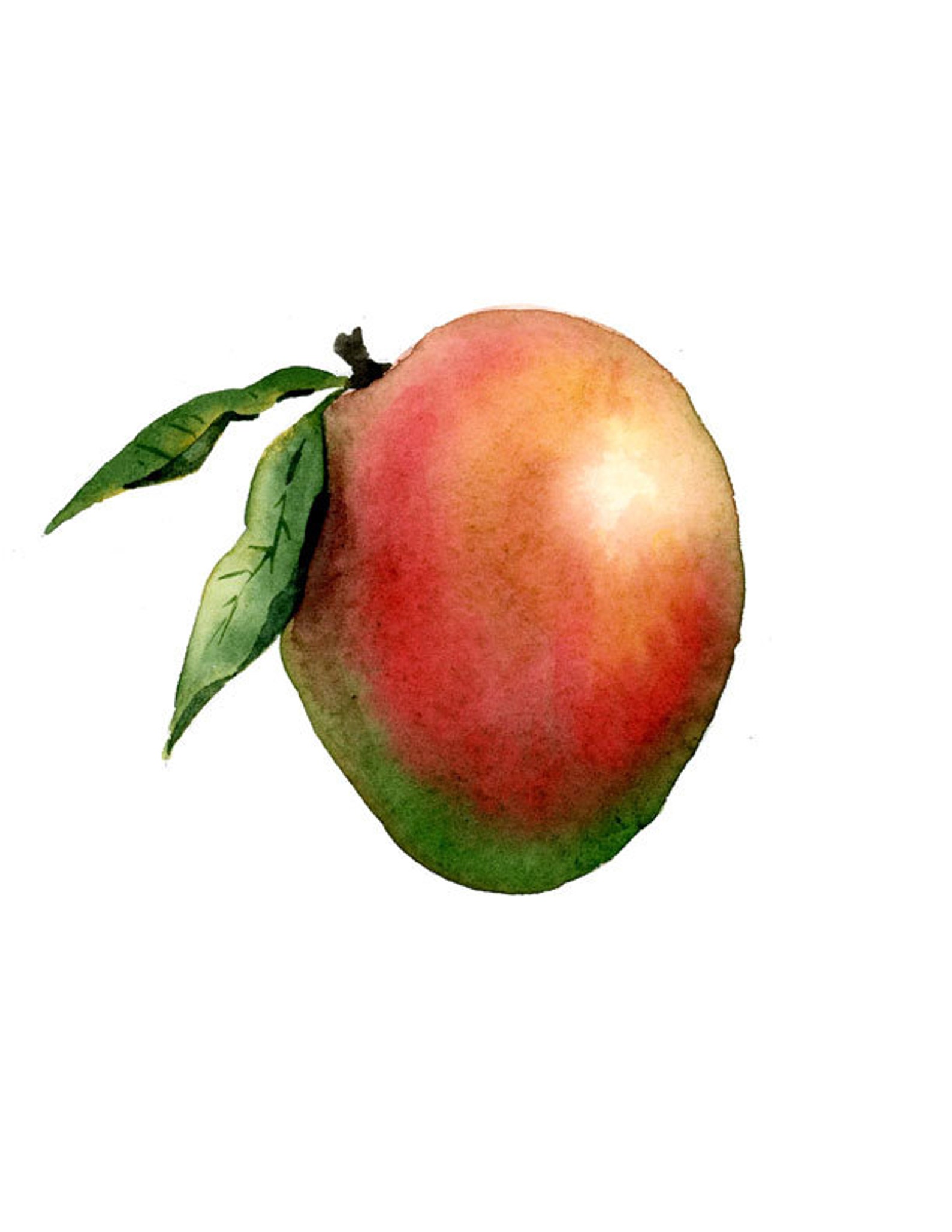 Mango Art Print - Kitchen Wall Decor - Watercolor Painting - Etsy