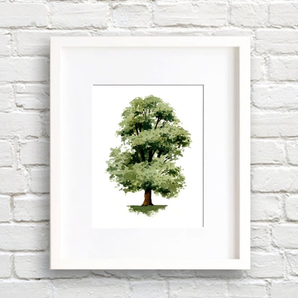 Elm Tree - Etsy