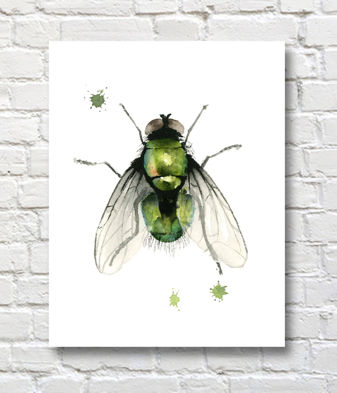 House Fly Art Print Wall Decor Watercolor Painting - Etsy
