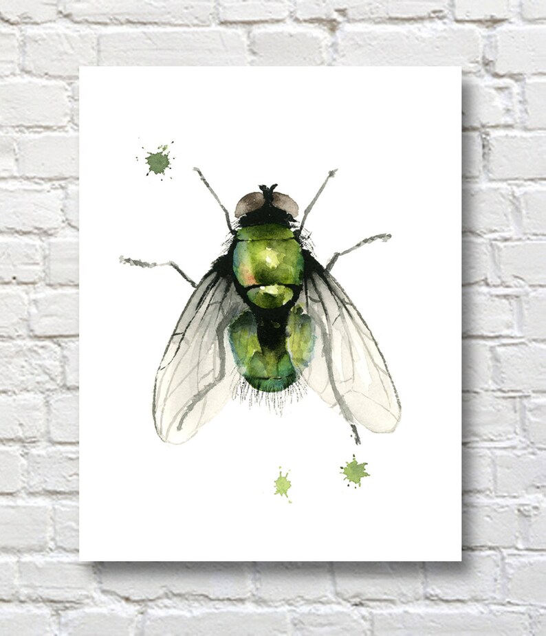 House Fly Art Print Wall Decor Watercolor Painting - Etsy