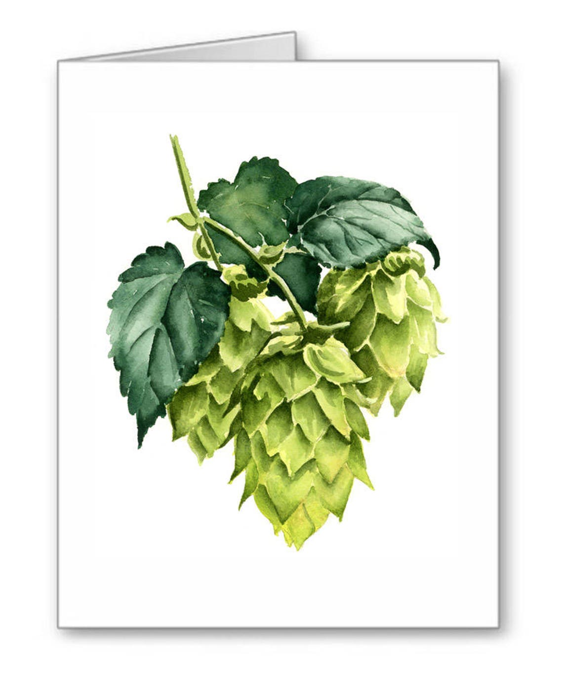 Hops - Art Print - Wall Decor - Watercolor Painting - Etsy