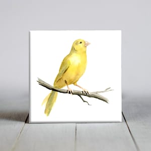 Canary Ceramic Tile - Canary Decorative Tile - Nature Lover Gift ...