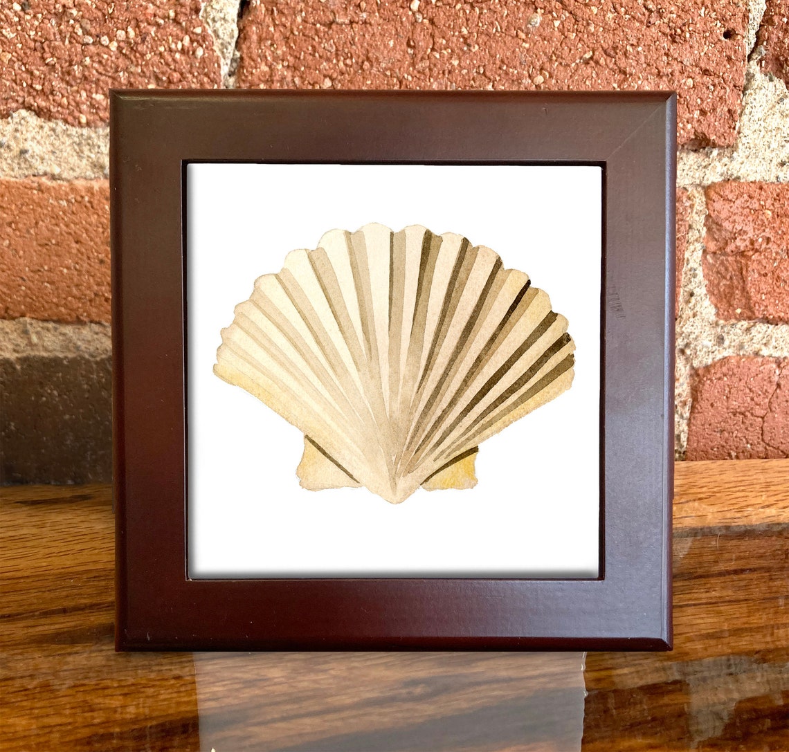 Sea Shell Ceramic Tile Sea Shell Decorative Tile Beach | Etsy