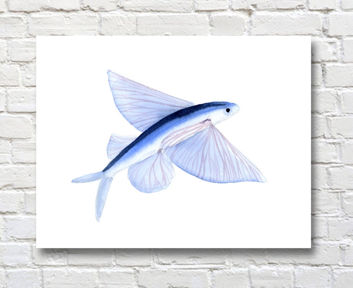 Flying Fish Art Print Wall Decor Watercolor Painting - Etsy