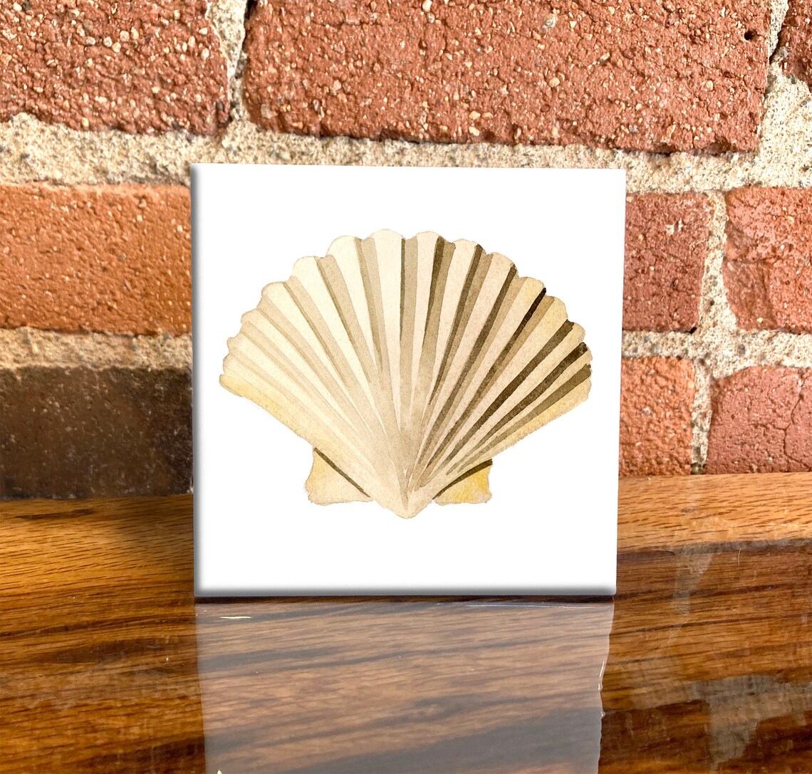 Sea Shell Ceramic Tile Sea Shell Decorative Tile Beach | Etsy