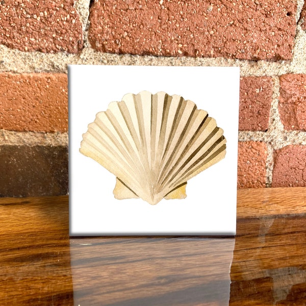 Sea Shell Tiles - Etsy