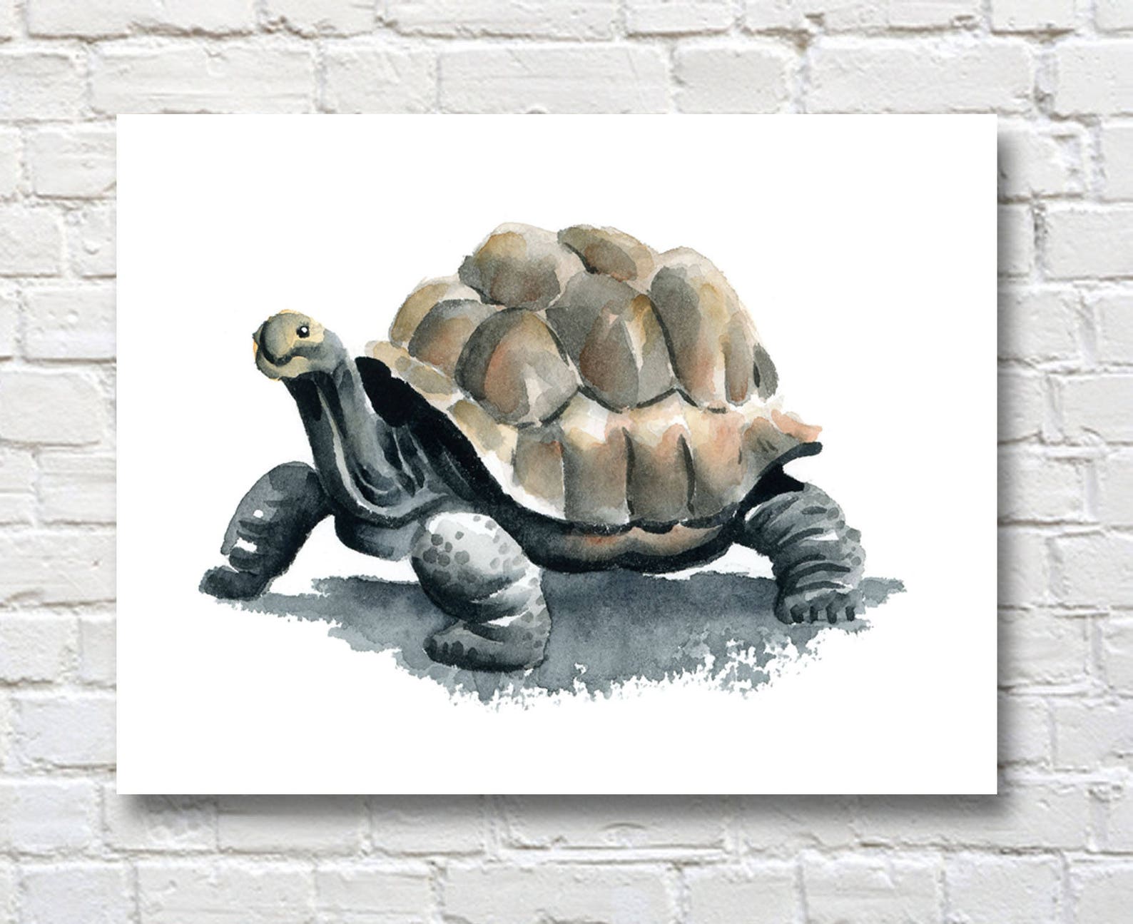 Tortoise Art Print Animal Art Wall Decor Watercolor | Etsy