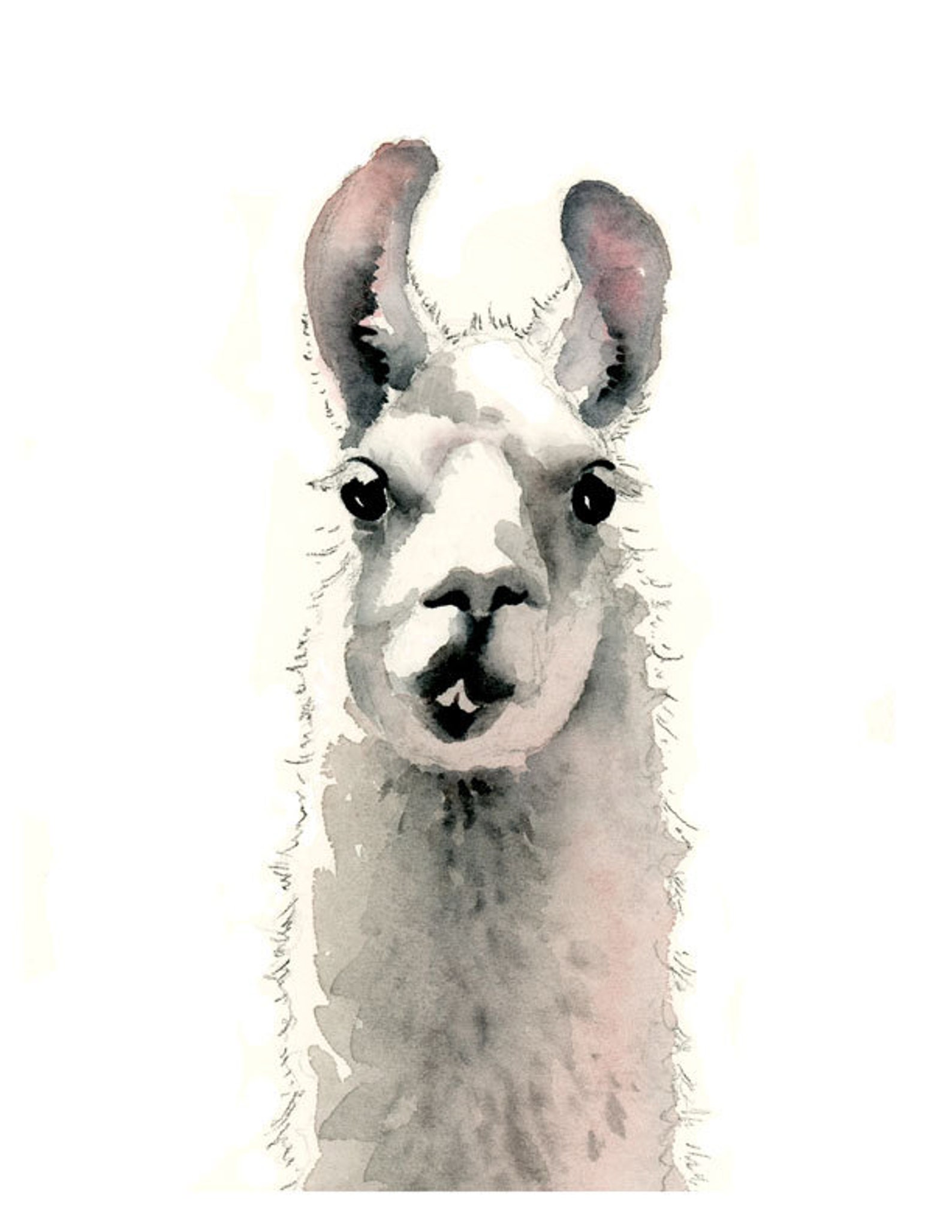 Llama Art Print Wall Decor Nursery Art Watercolor - Etsy