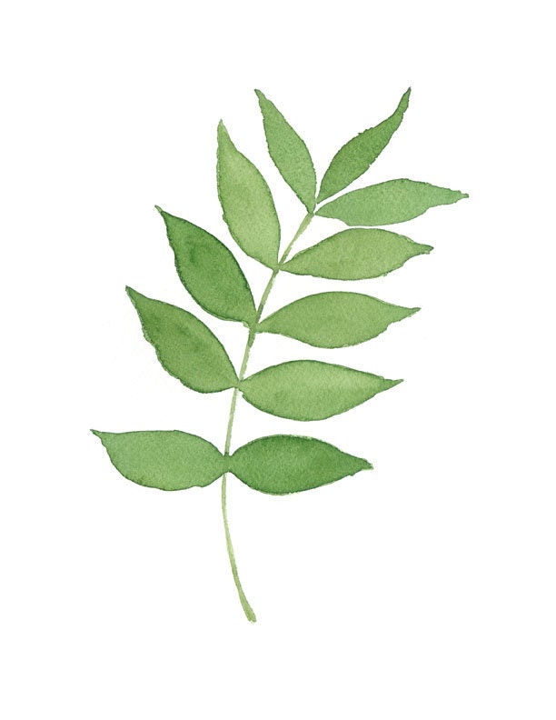 Ash Leaf Art Print Wall Decor Watercolor Painting - Etsy