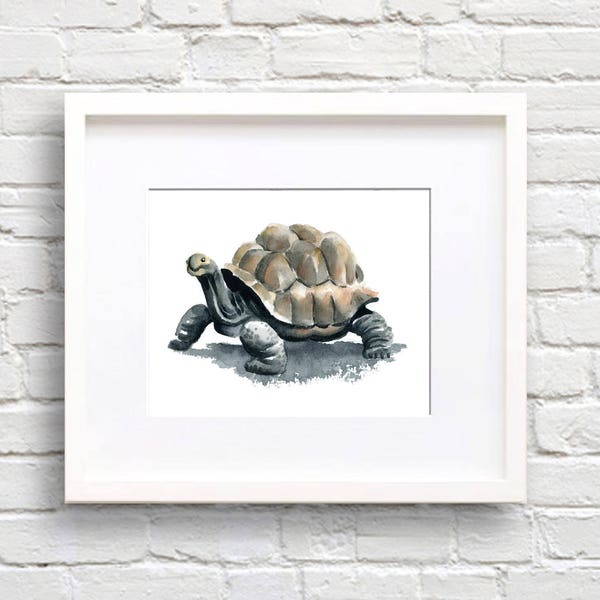 Tortoise Art - Etsy