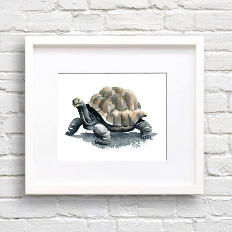 Tortoise Art - Etsy