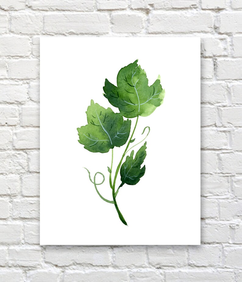 Efeu Kunstdruck Wand-Dekor Aquarell | Etsy