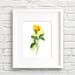 Yellow Rose Flower Yellow Rose Art Print Flower Wall - Etsy