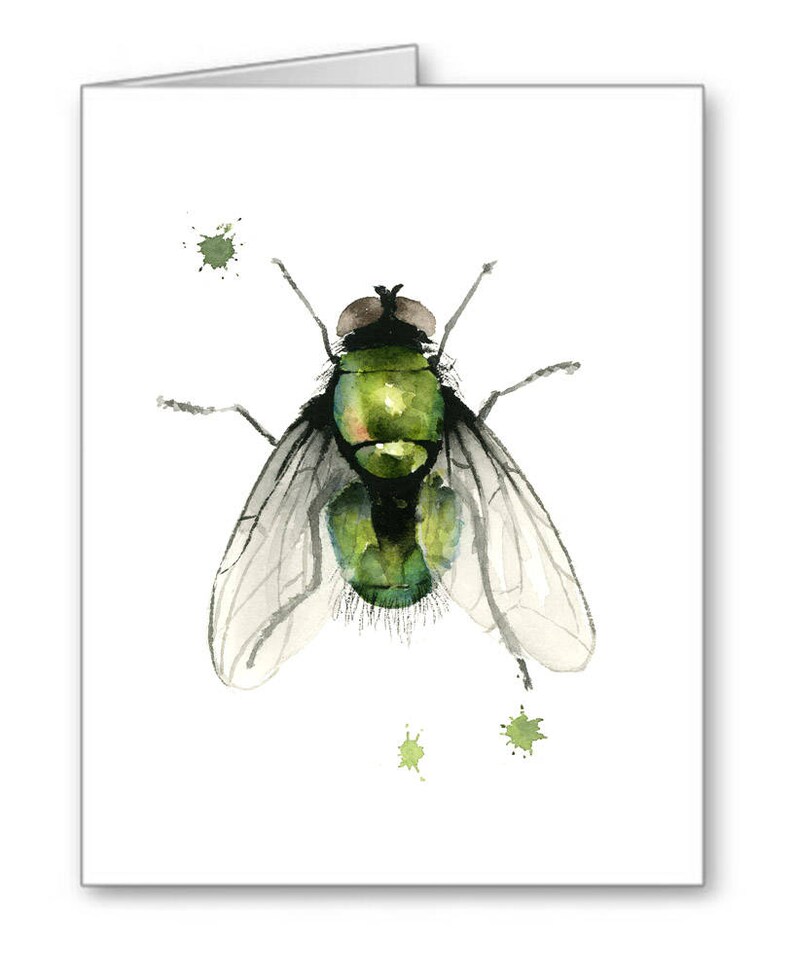 House Fly Art Print Wall Decor Watercolor Painting - Etsy