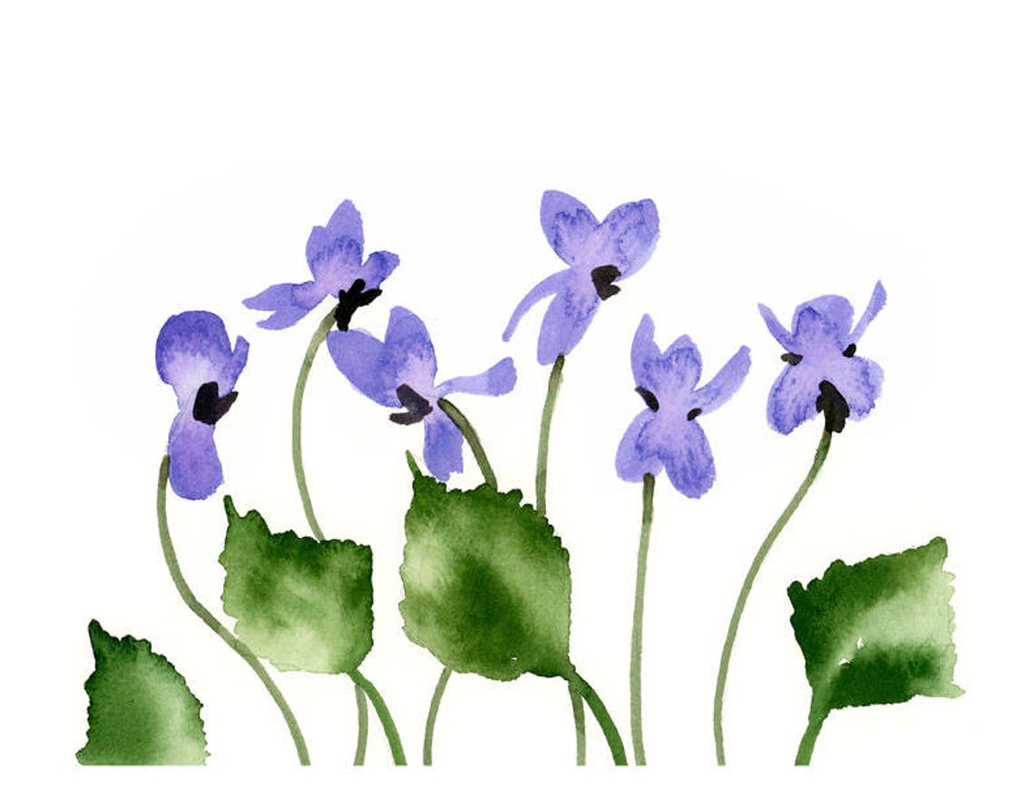 Violet Flower Violets Art Print Flower Wall Decor Floral - Etsy