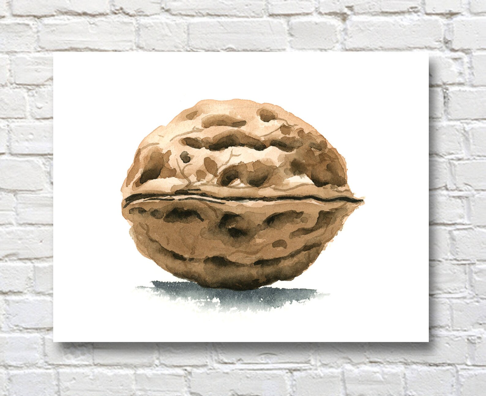 Walnut Art Print Wall Decor Watercolor Painting | Etsy