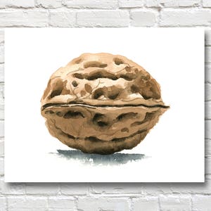 Walnut Art Print Wall Decor Watercolor Painting - Etsy