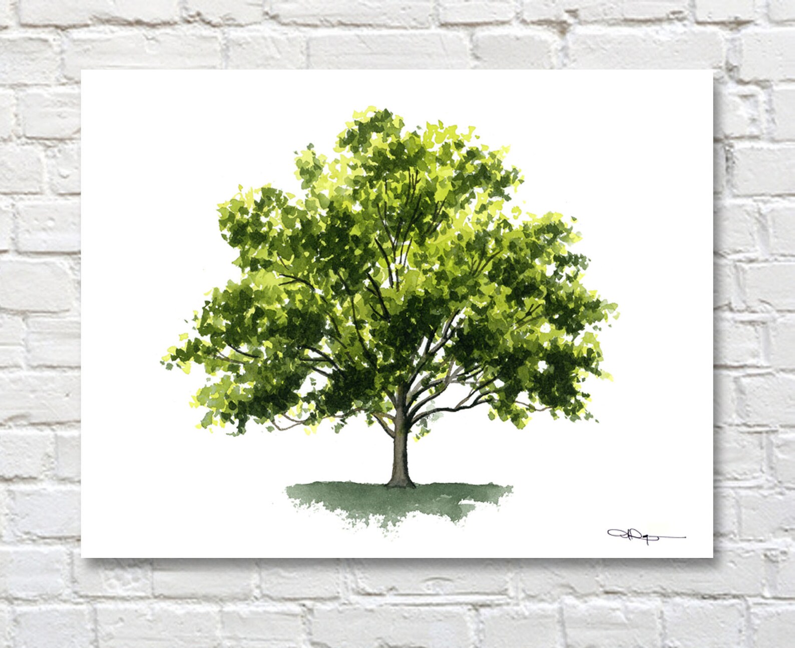 Watercolor Sycamore Tree Sycamore Tree Art Print Wall - Etsy