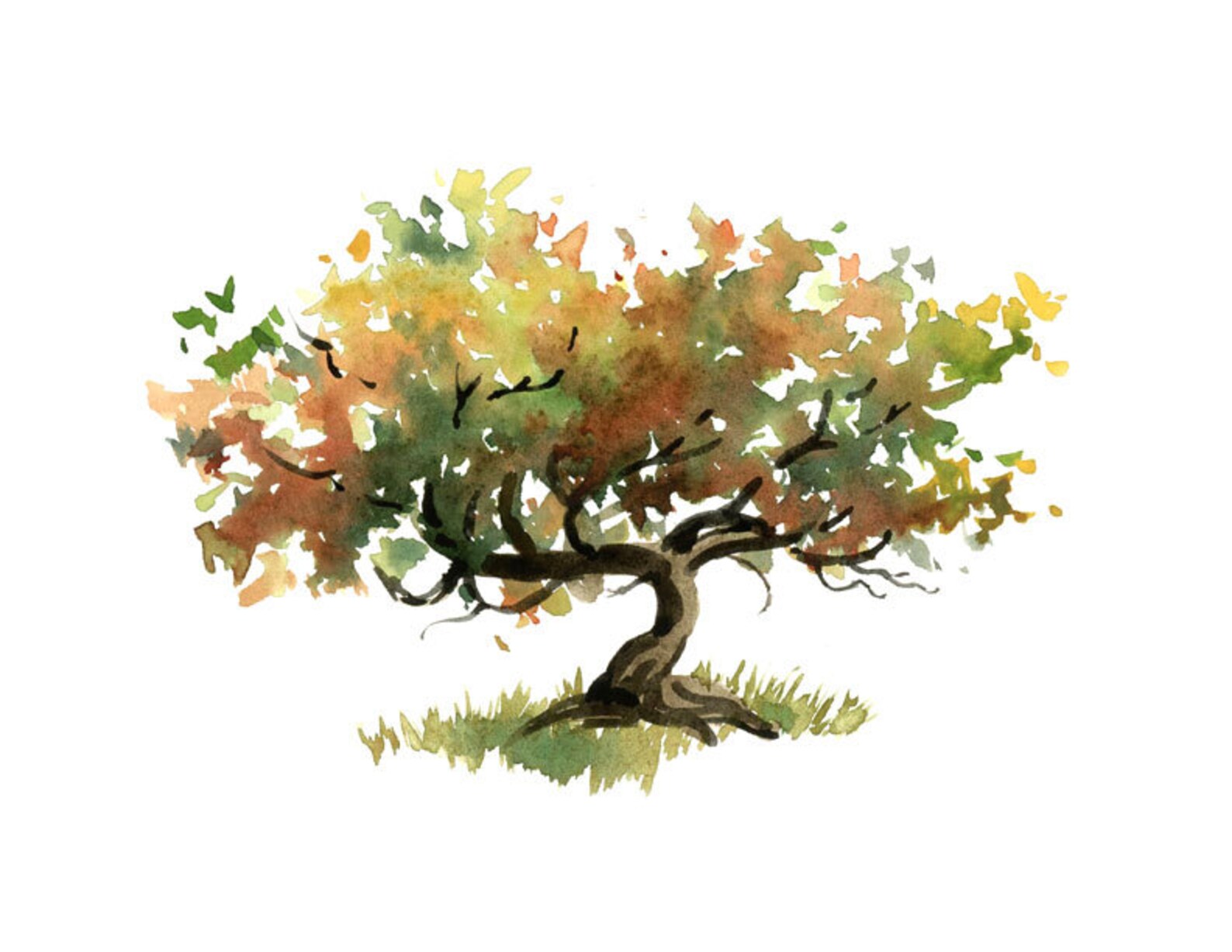 Grape Vine Art Print Wall Decor Grapevine Watercolor - Etsy