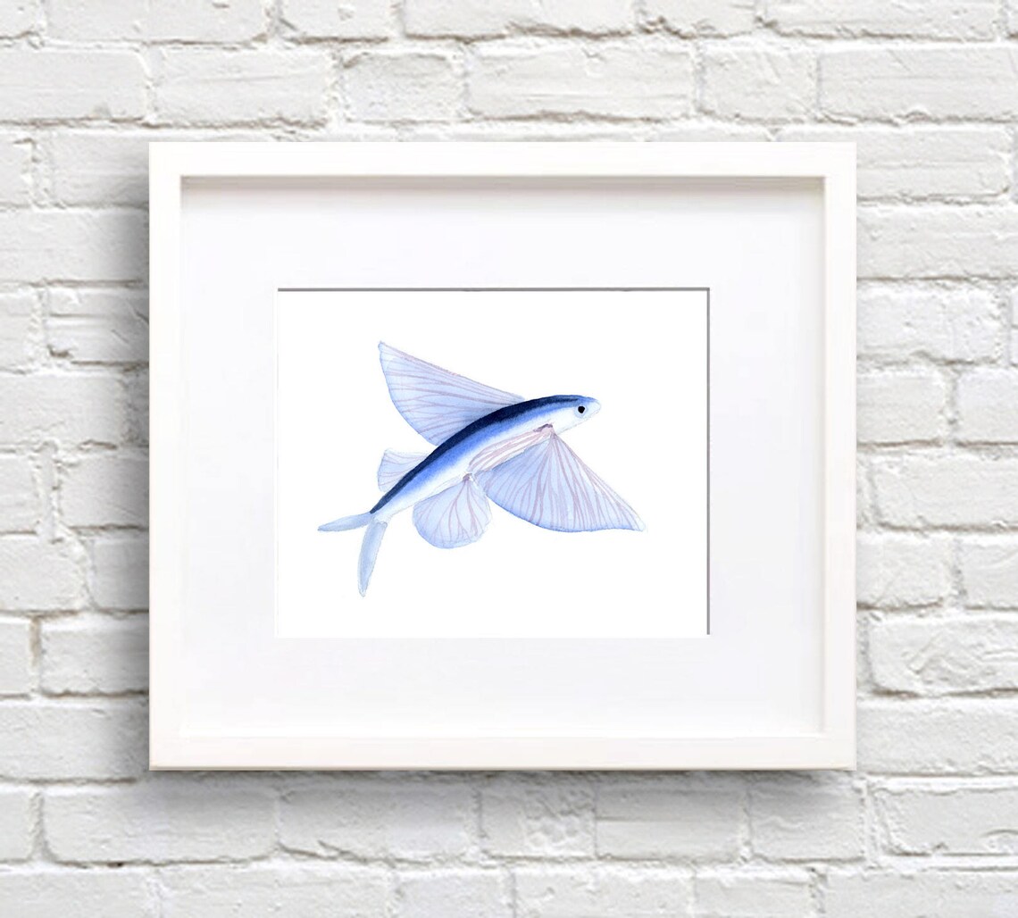 Flying Fish Art Print Wall Decor Watercolor Painting | Etsy