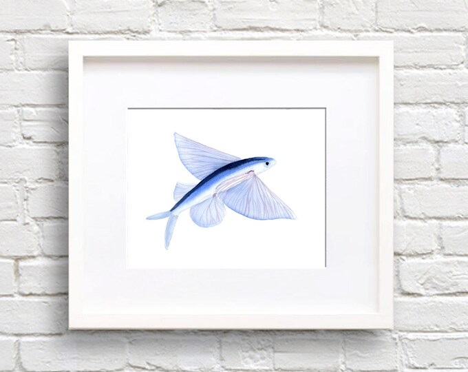 Gyotaku Fish Print Malolo Flying Fish Limited Edition Art by Maui ...
