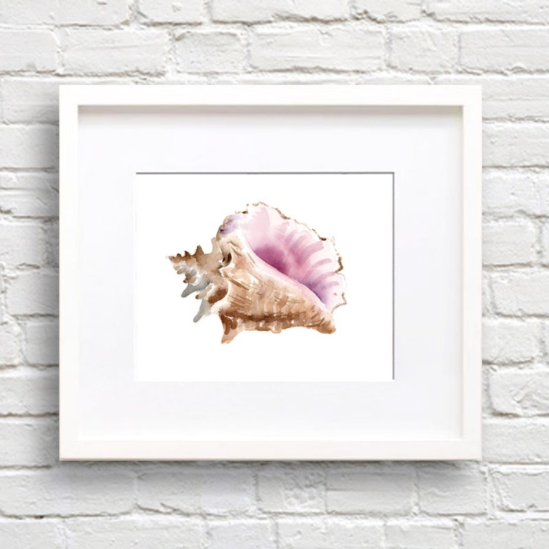 Conch Shell Art - Etsy