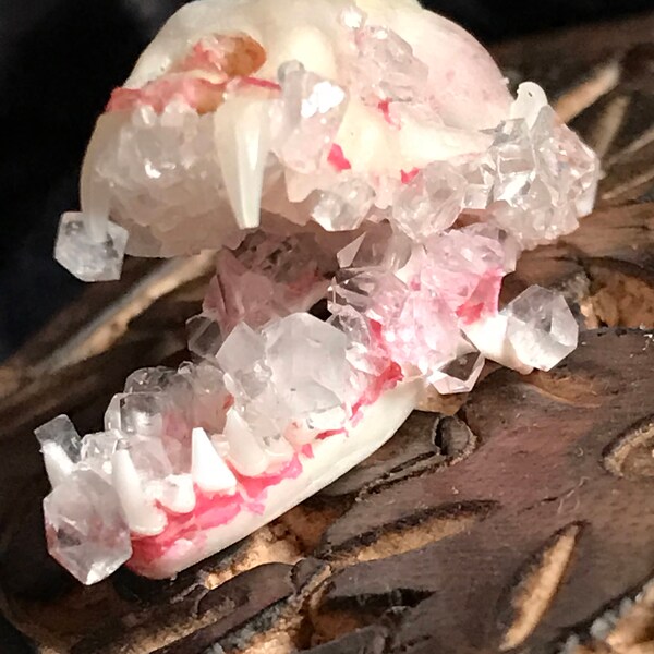 Borax Crystal Skulls - Etsy