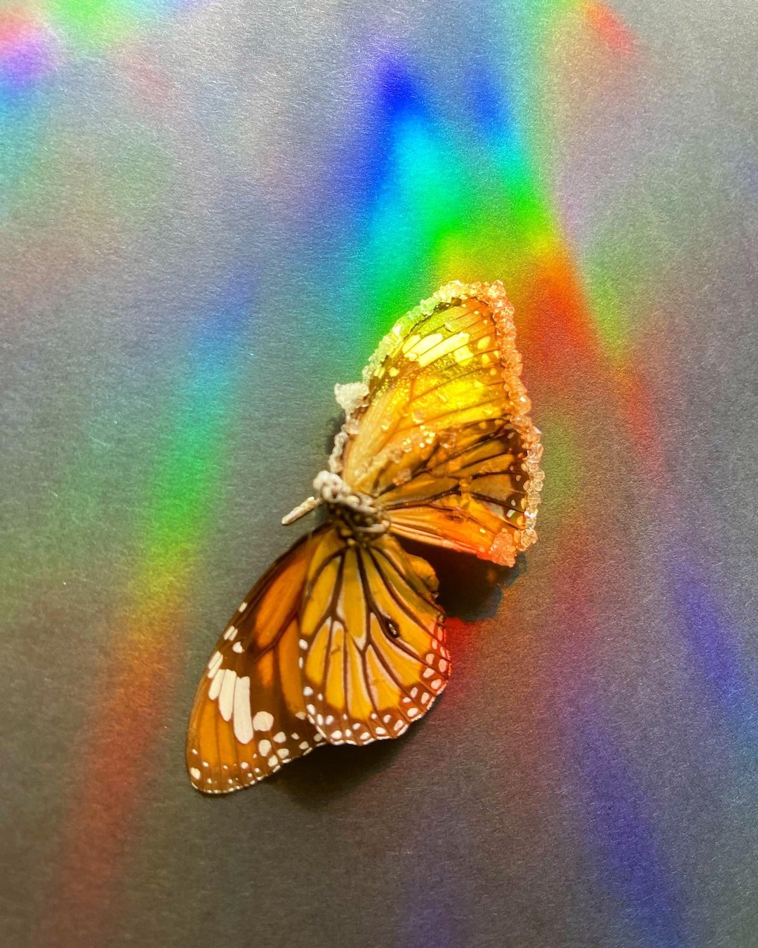 Crystallized Butterfly - Etsy
