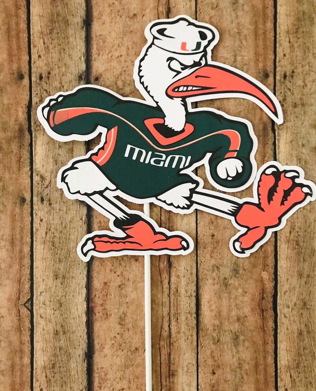 Miami Hurricanes, Sebastian Mascot, University of Miami, Sebastian Cake ...