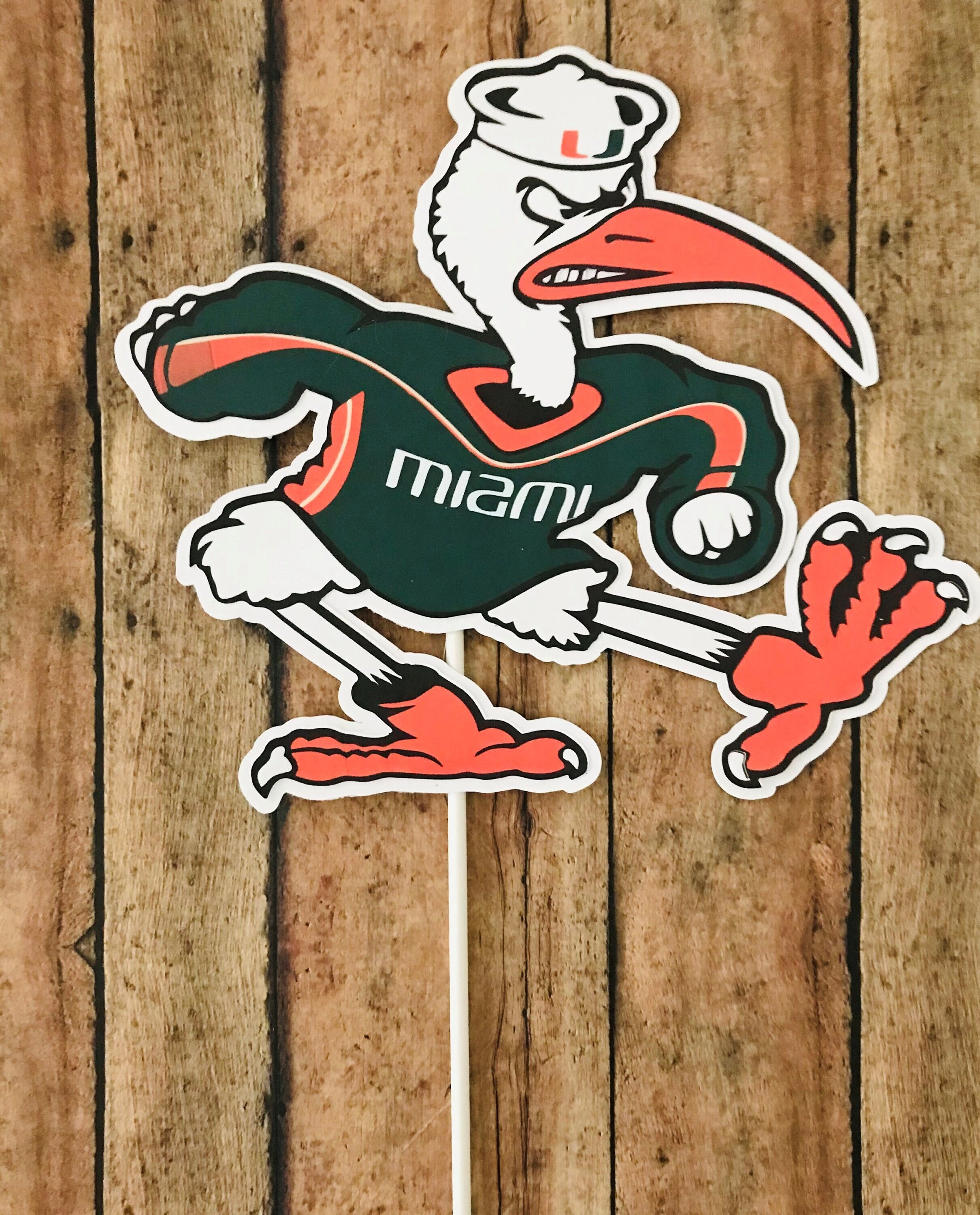 Miami Hurricanes Mascot Wallpaper